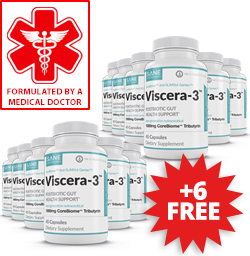 Buy 6 Get 6 - Viscera-3