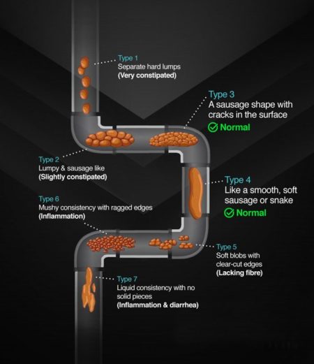 The #1 Way to Poop Better Today | Digestion & Gut Health | SANESolution