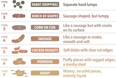 Why do I poop in the morning? | Ask Poo Doctor 💩