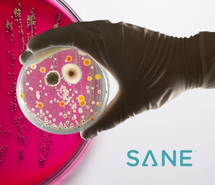 What are Paraprobiotics? | SANE MD