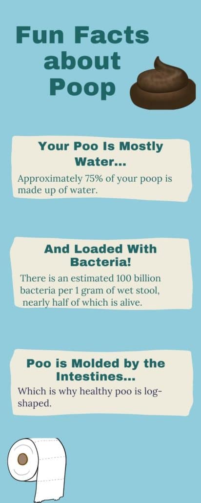 What does the color of my poop mean? - Ask Poop Doctor 💩
